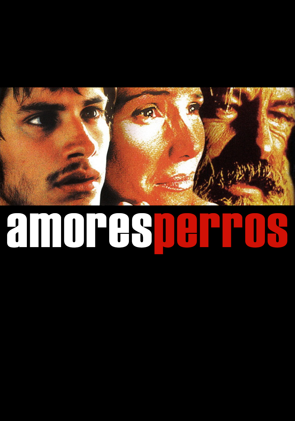 Amores Perros Wallpapers - Wallpaper Cave