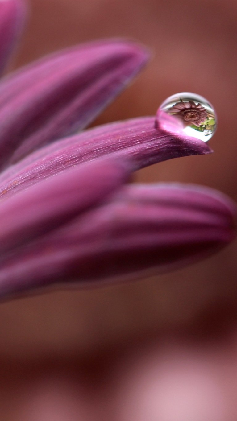 Samsung Note 21 Wallpapers - Wallpaper Cave