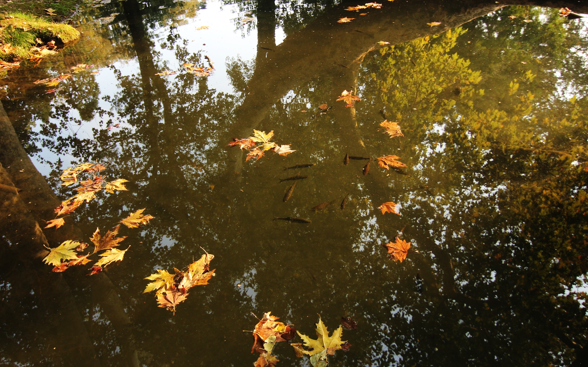 Autumn Stuff Wallpapers - Wallpaper Cave