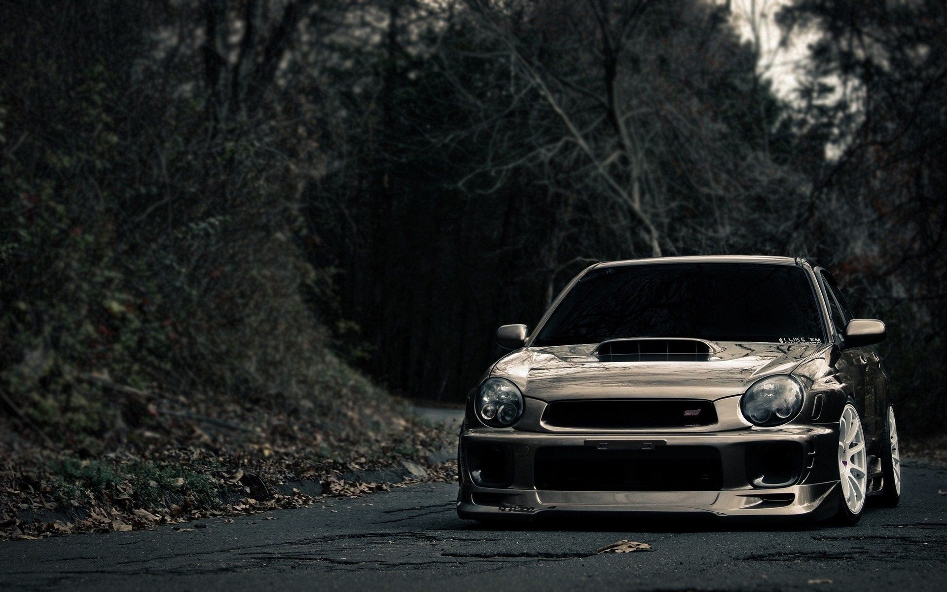 Bugeye Wallpapers - Wallpaper Cave
