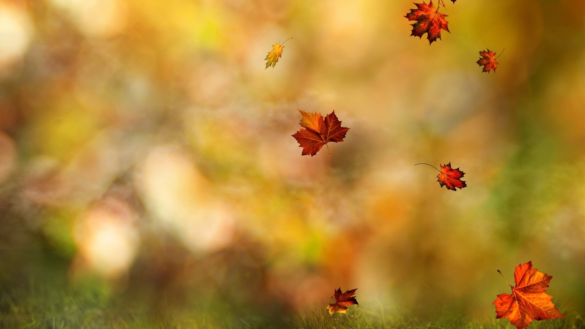 Autumn Leaves Blurry Wallpapers - Wallpaper Cave