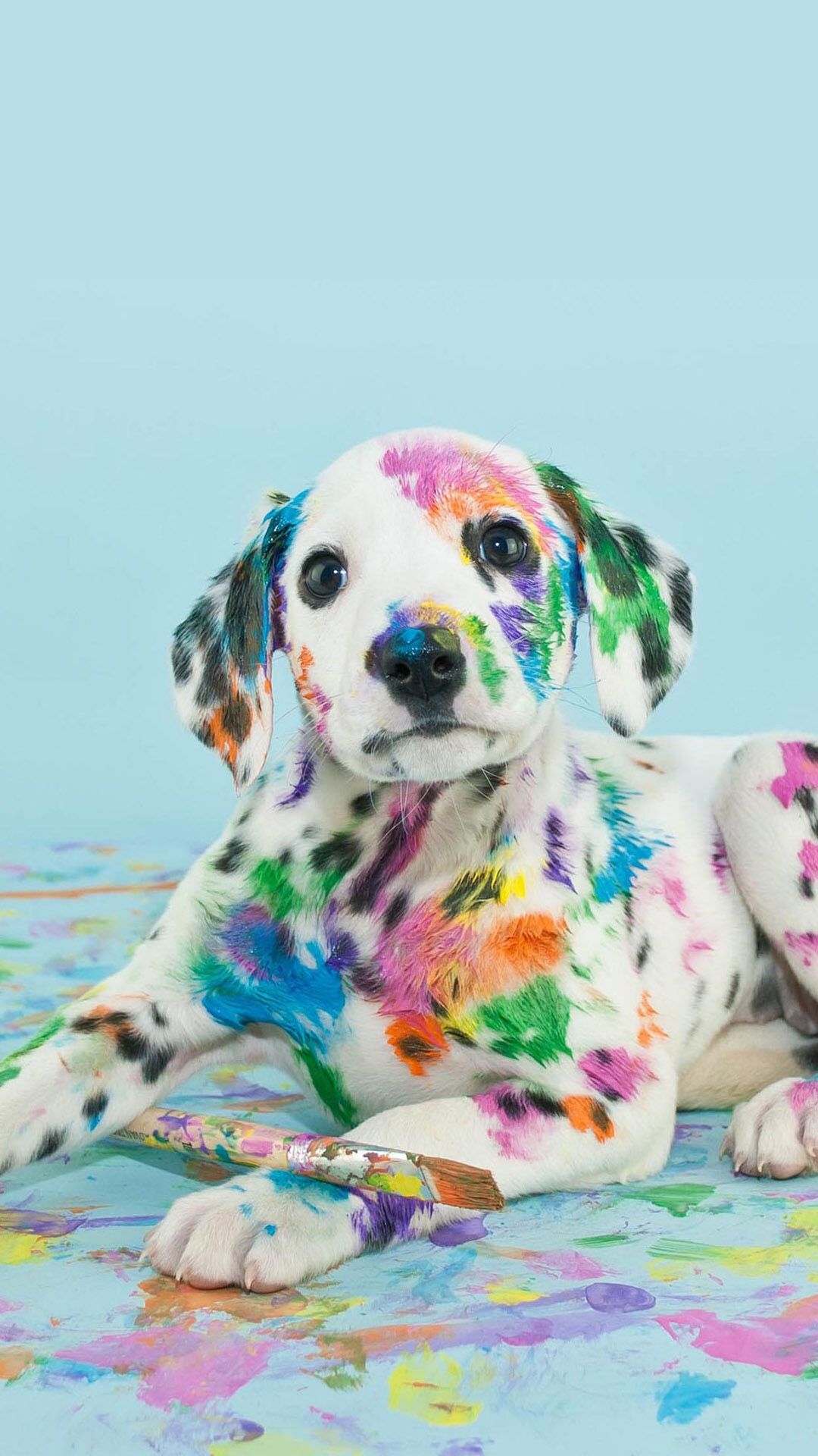Rainbow Puppies Wallpapers - Wallpaper Cave