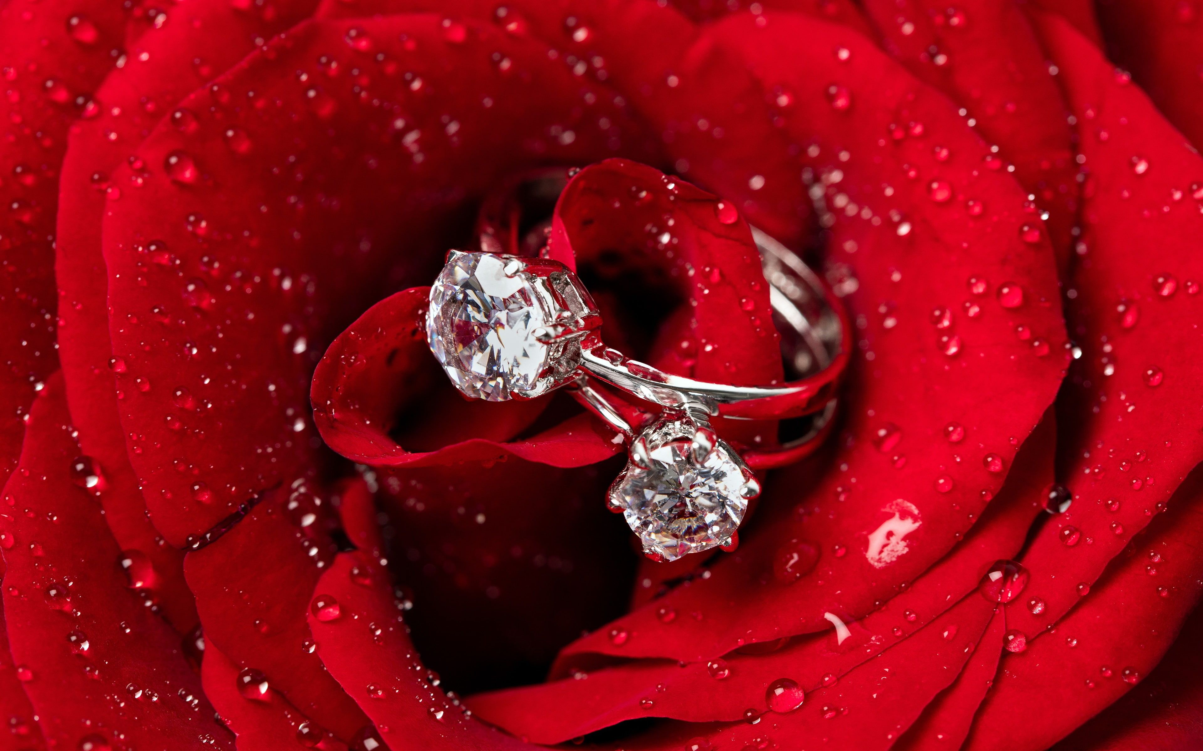 Rings And Roses Wallpapers - Wallpaper Cave