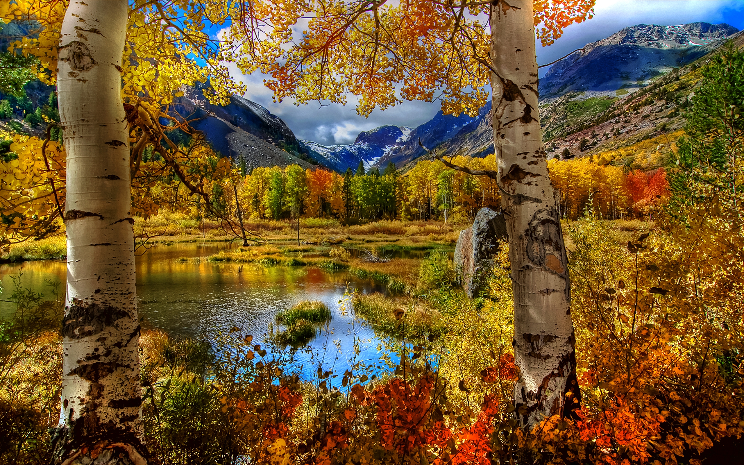 Late Fall Autumn Wallpapers - Wallpaper Cave