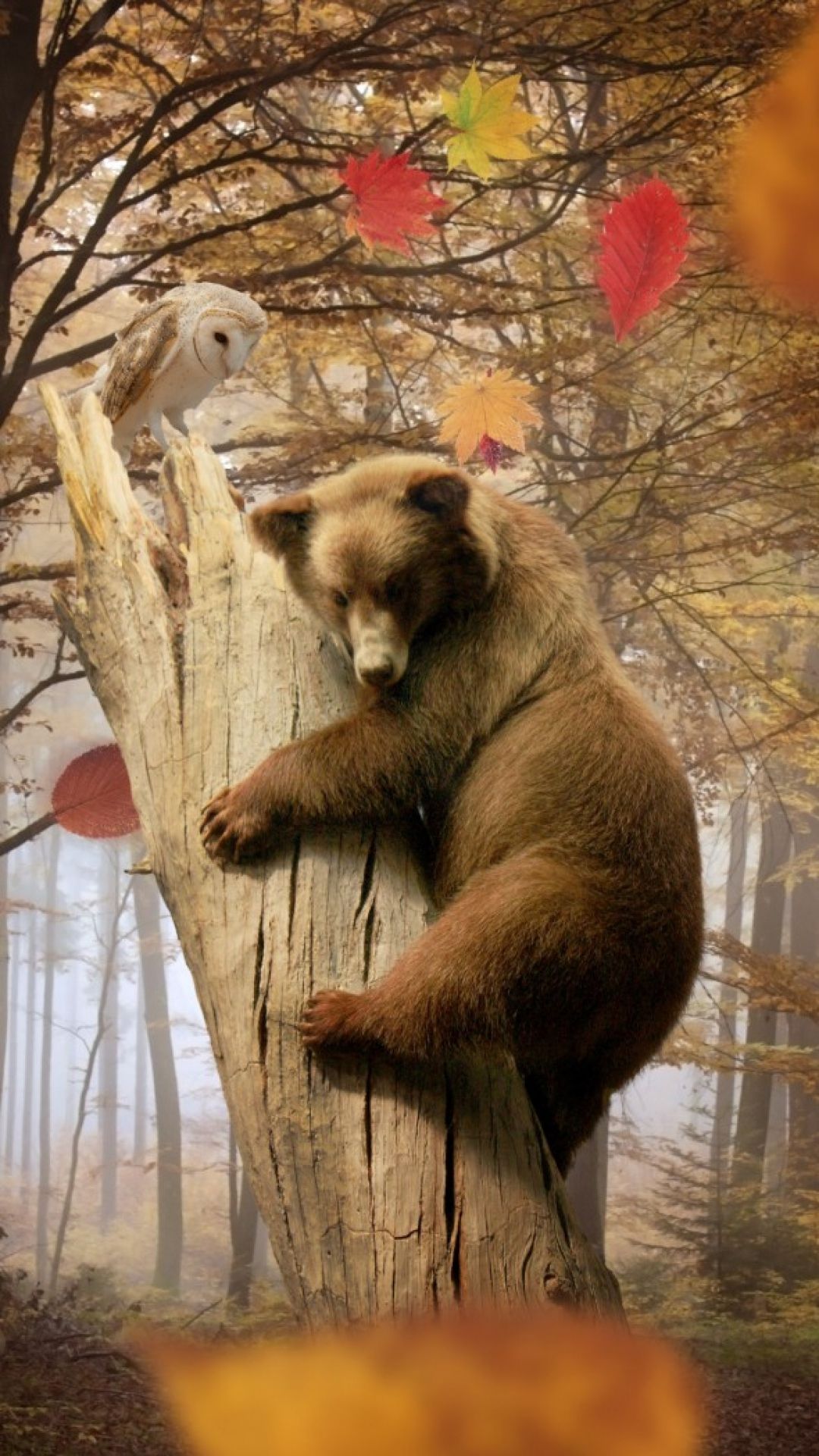 Bears Autumn Wallpapers - Wallpaper Cave