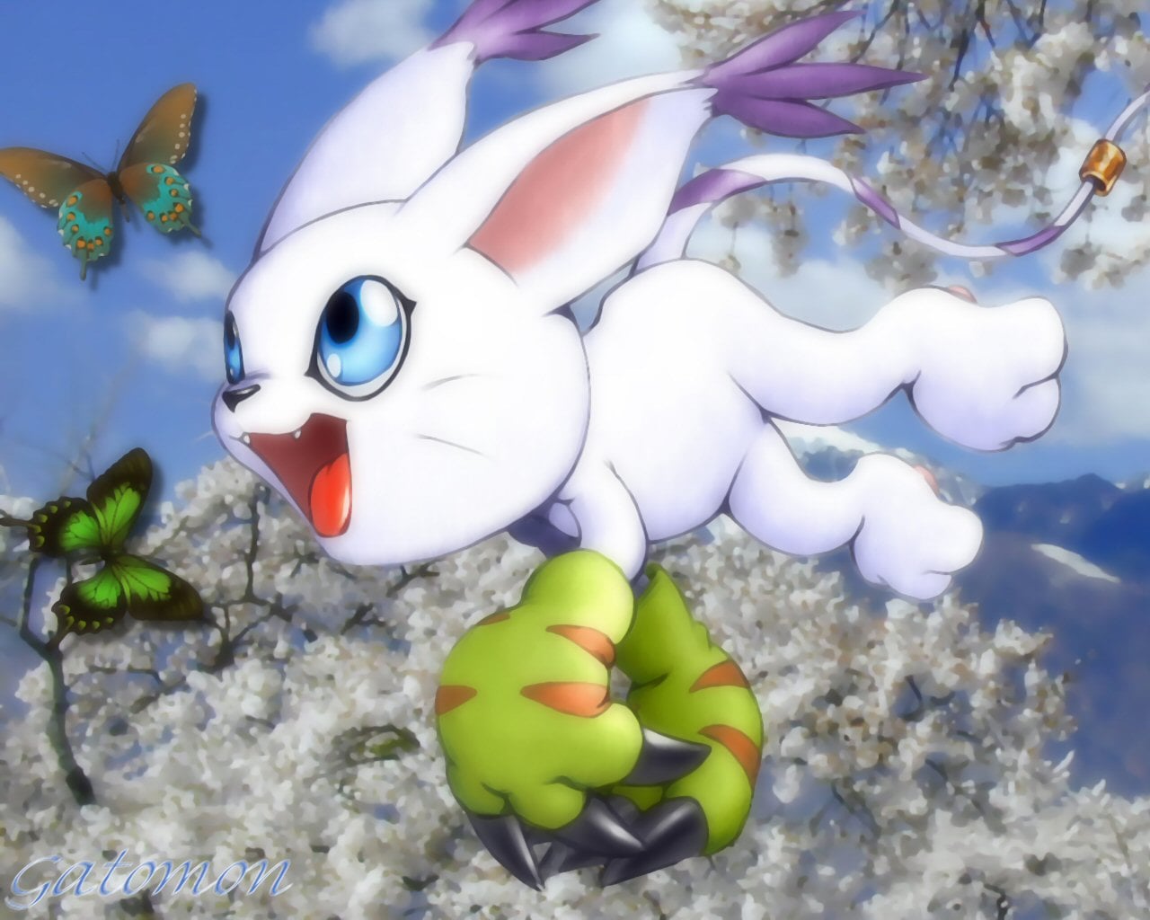 Gatomon Wallpapers - Wallpaper Cave