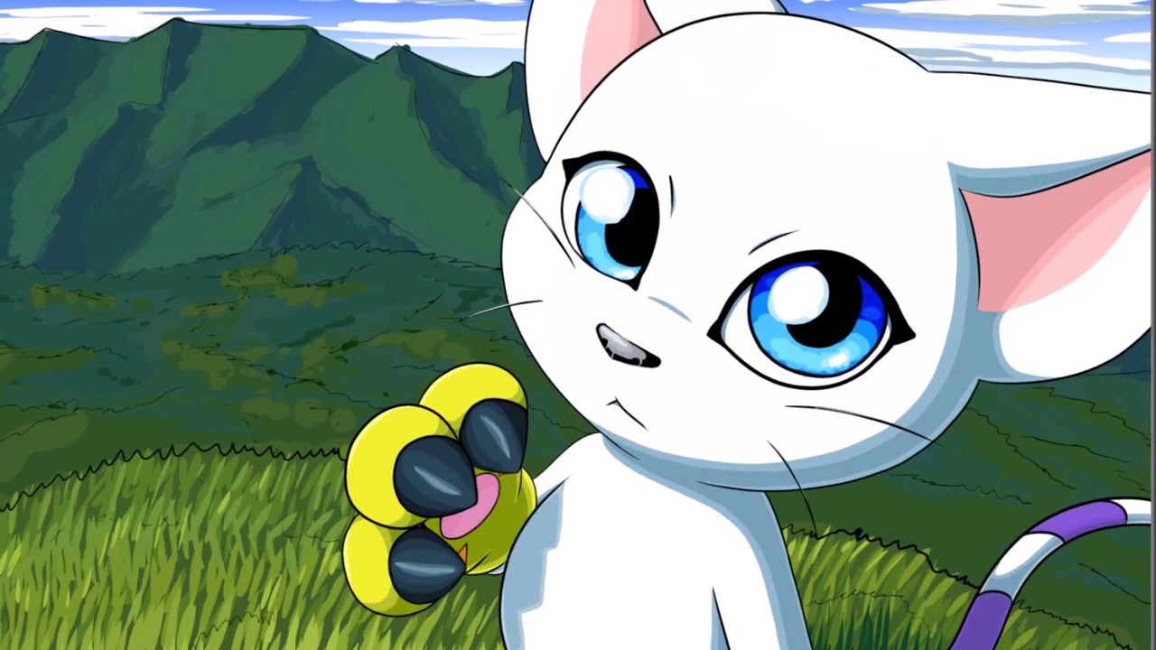Gatomon Wallpapers - Wallpaper Cave