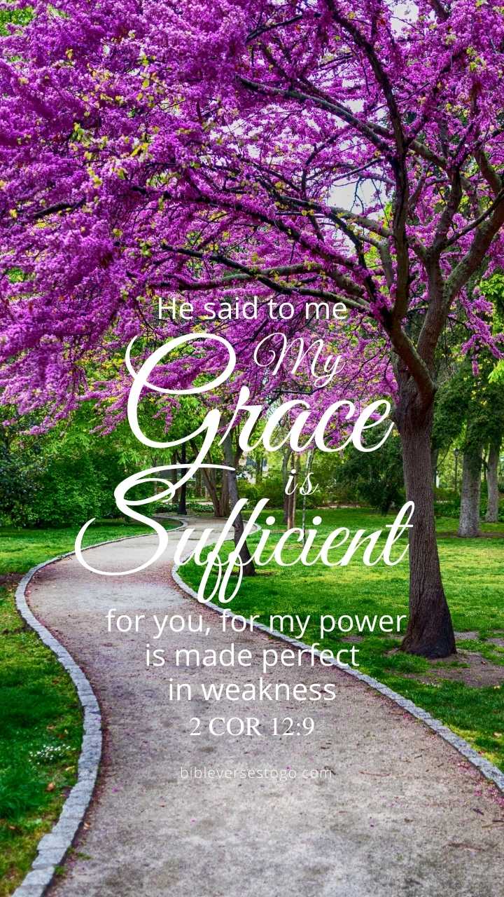 Spring Bible Wallpapers - Wallpaper Cave