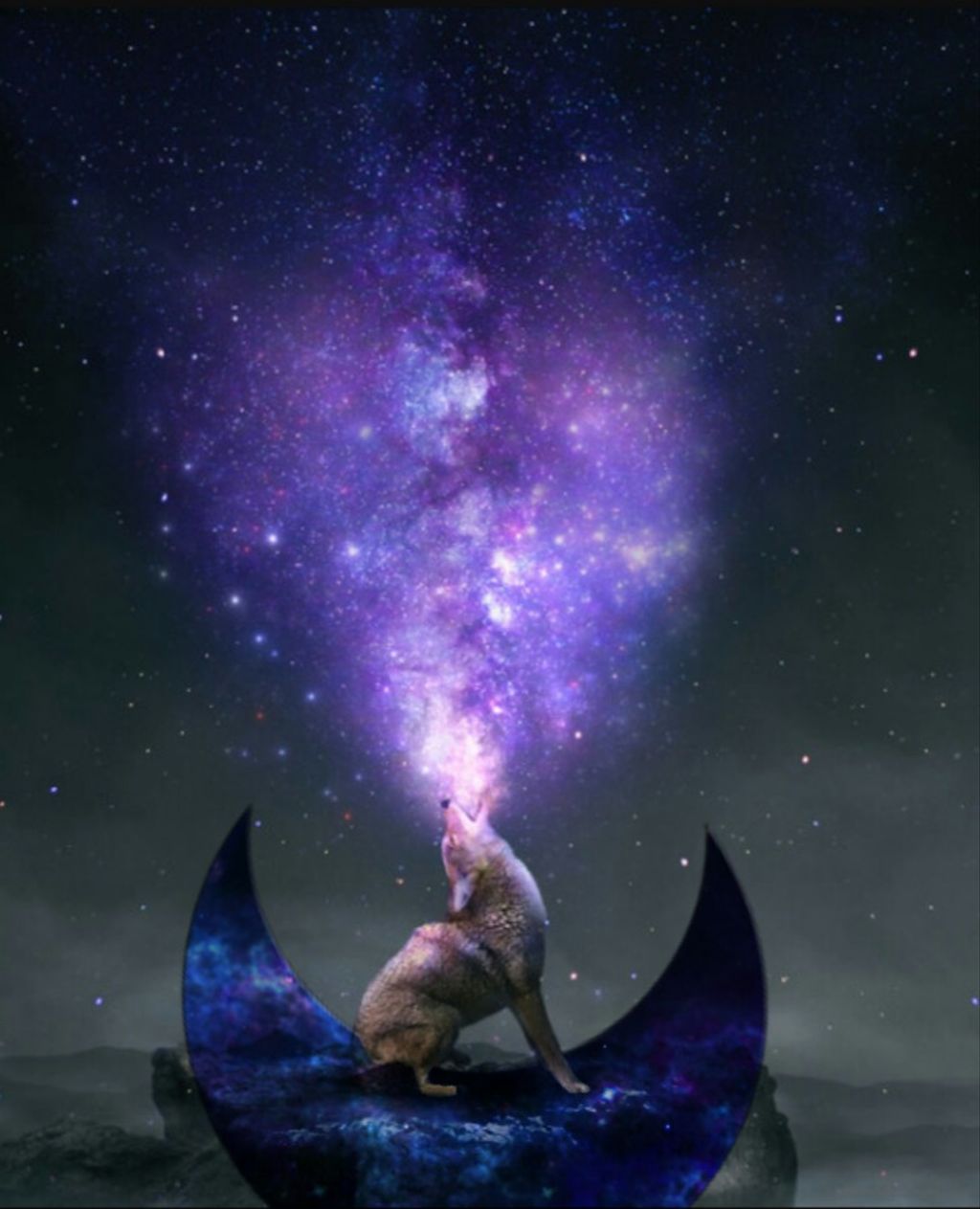 Wolf Constellation Wallpapers - Wallpaper Cave