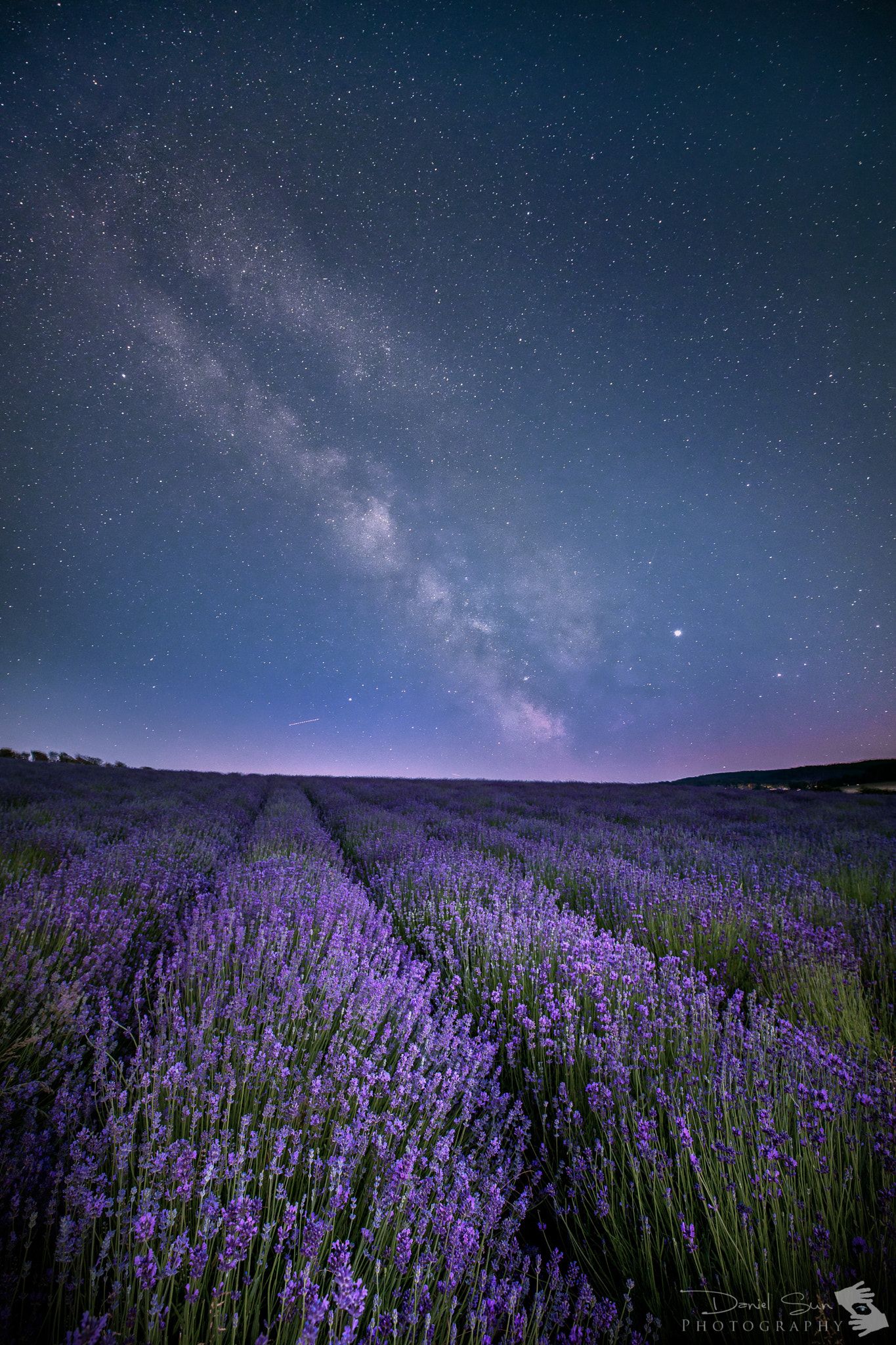 Lavender Field At Night Wallpapers - Wallpaper Cave