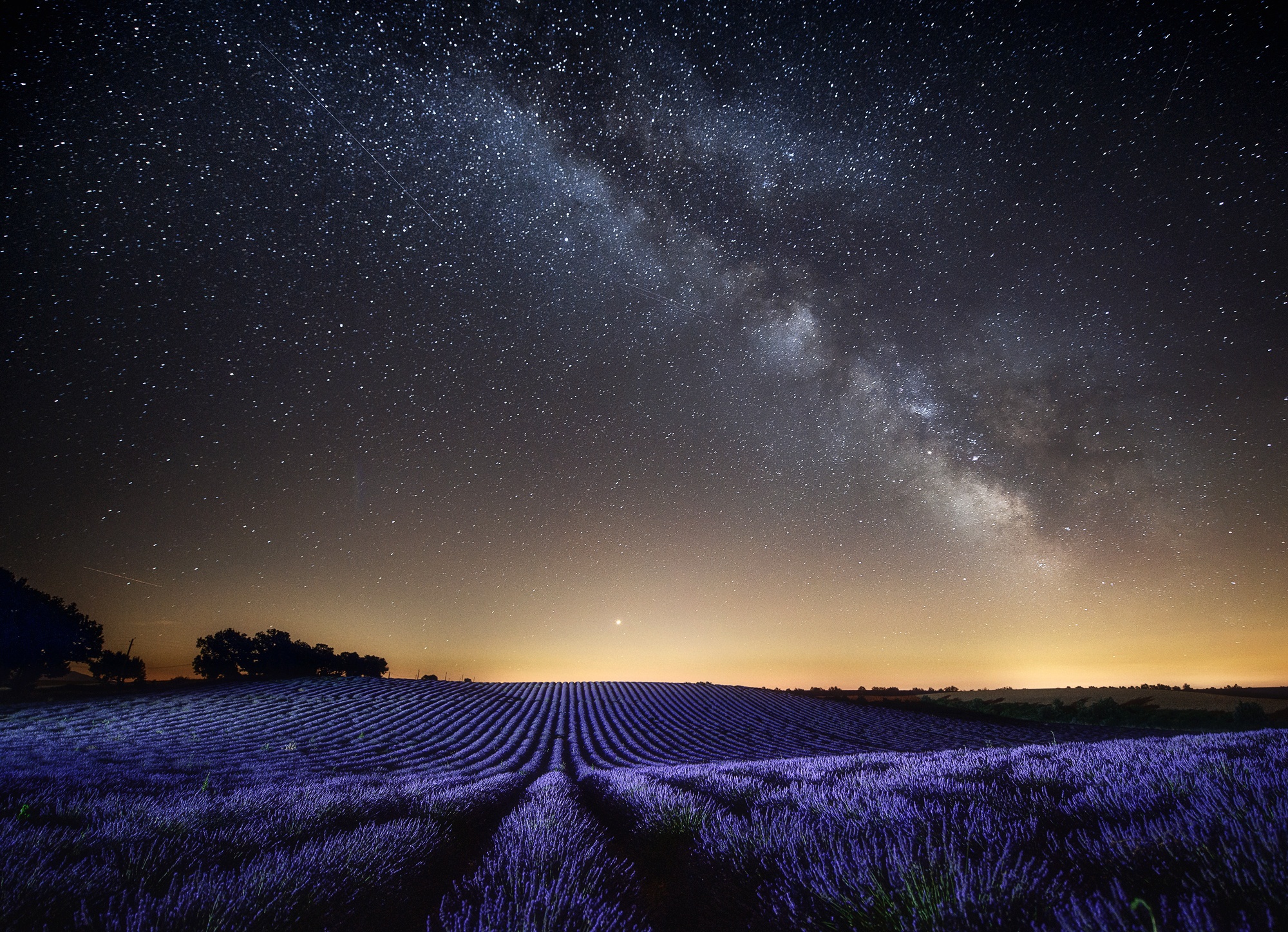 Lavender Field At Night Wallpapers - Wallpaper Cave