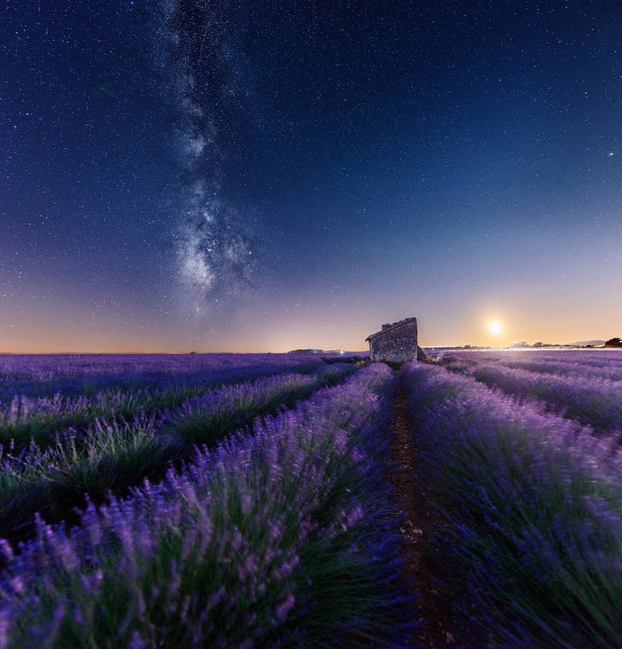 Lavender Field At Night Wallpapers - Wallpaper Cave