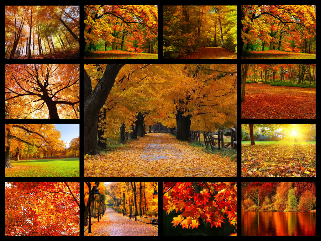 Autumn Romantic Wallpapers - Wallpaper Cave
