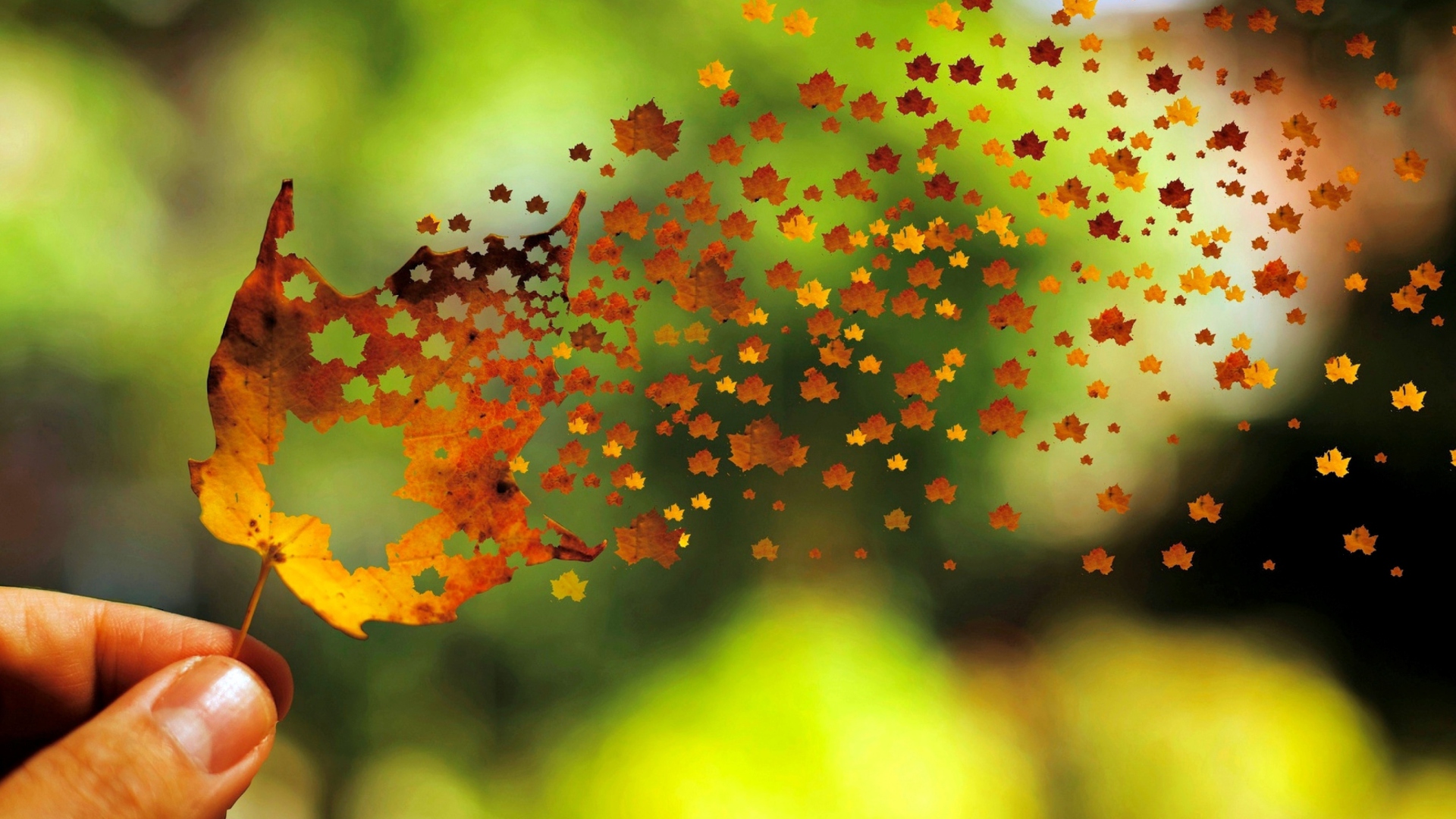 Autumn Lovers Wallpapers - Wallpaper Cave