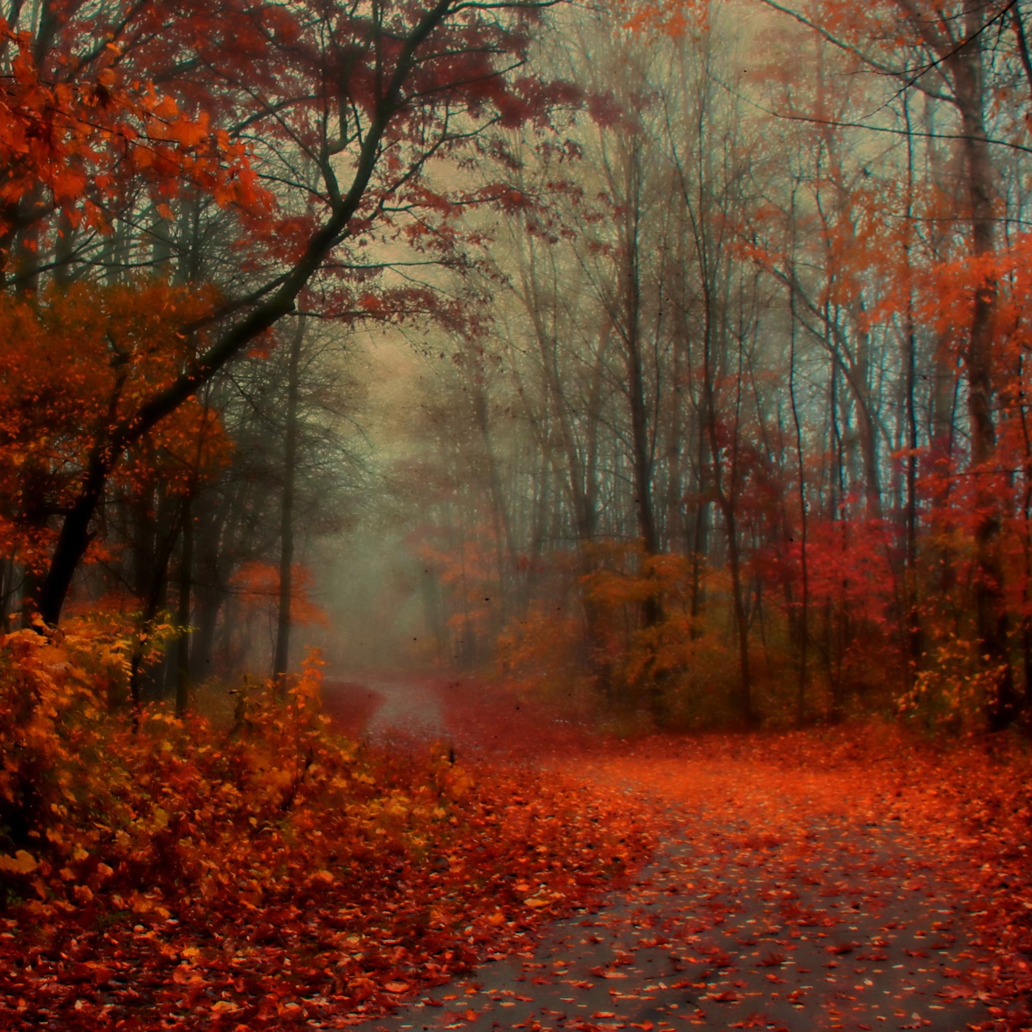 Autumn Romantic Wallpapers - Wallpaper Cave
