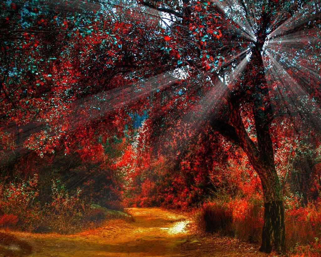 Autumn Romantic Wallpapers - Wallpaper Cave