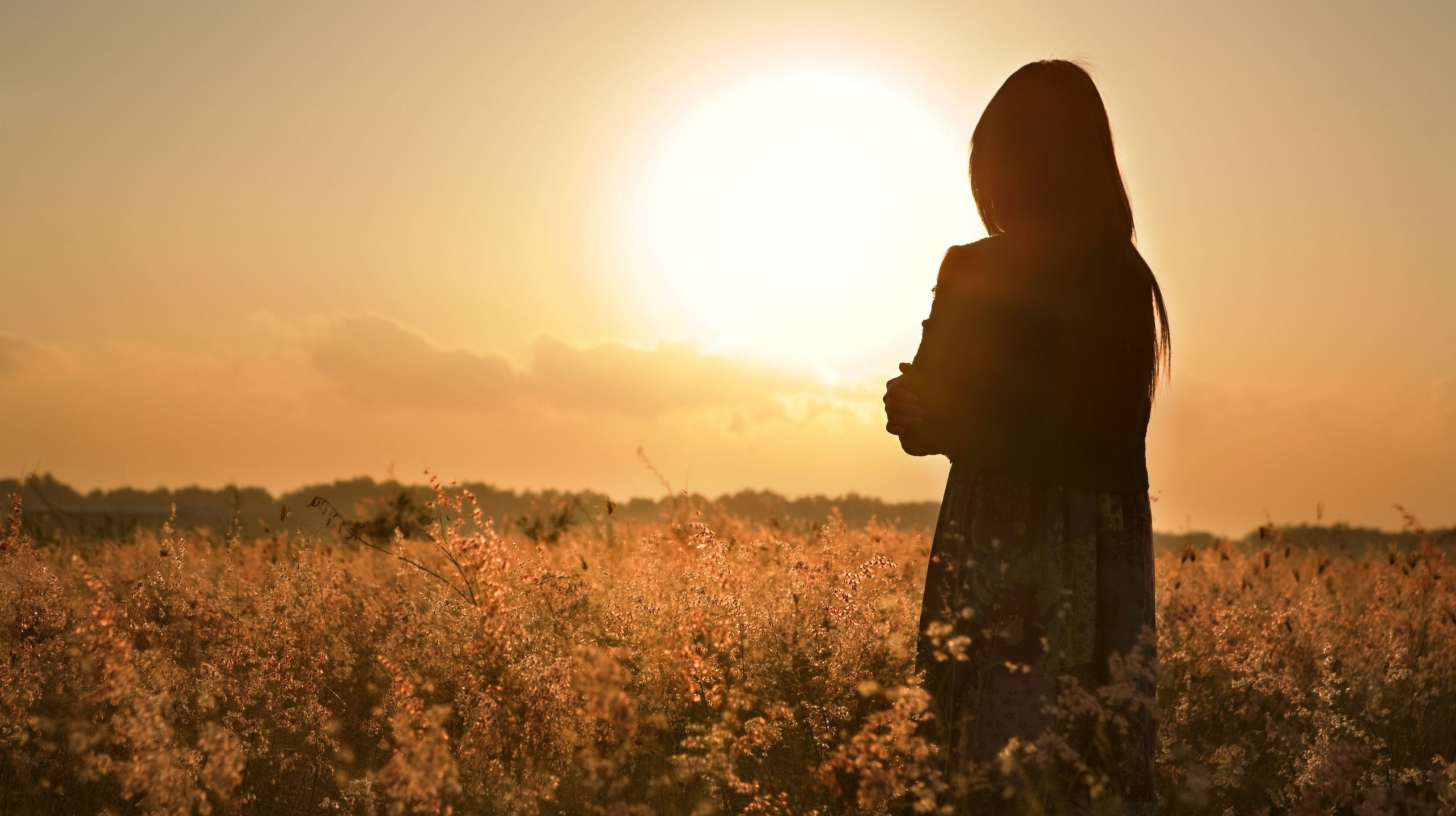 Back View Wallpapers - Wallpaper Cave