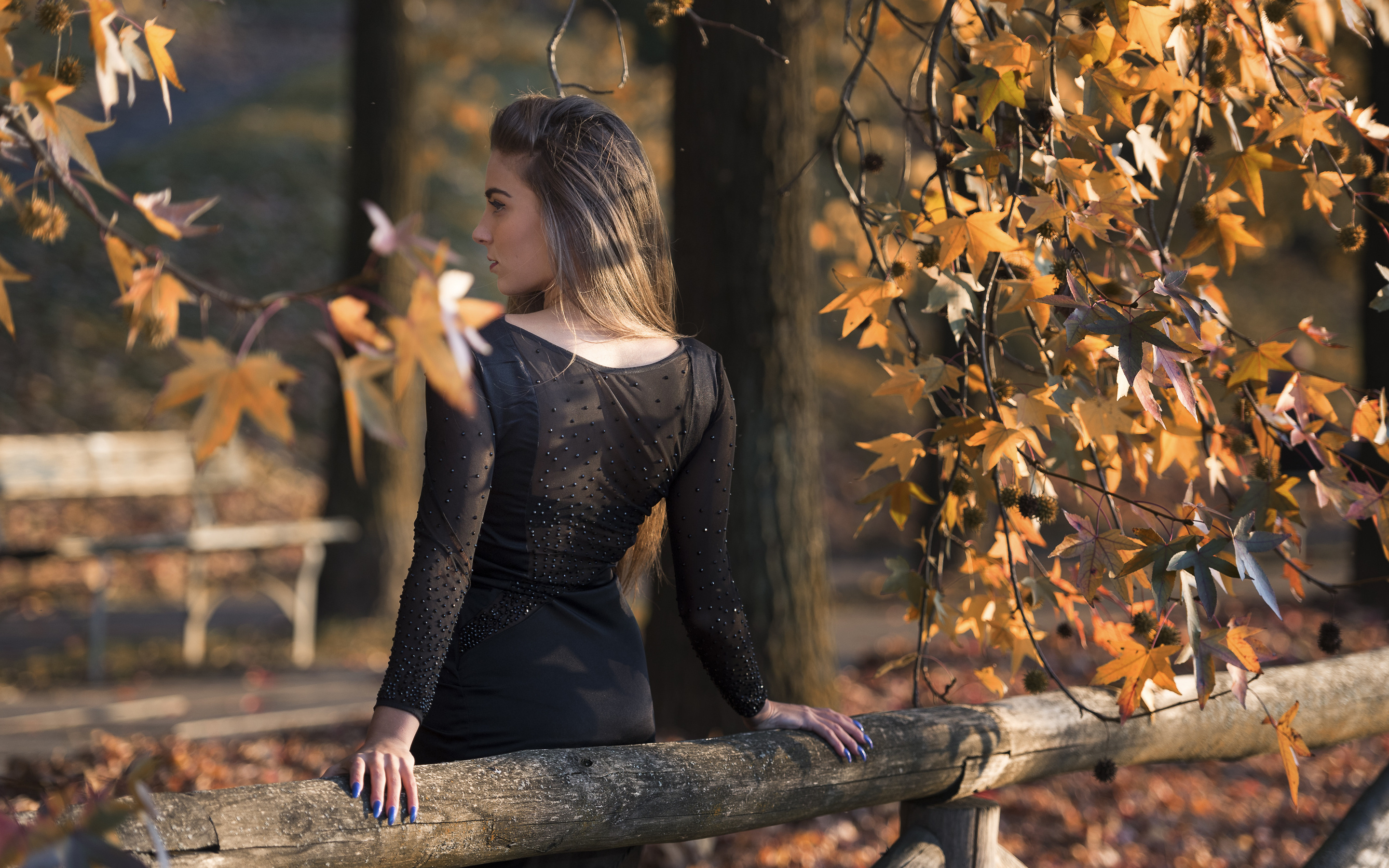 Back View Wallpapers - Wallpaper Cave