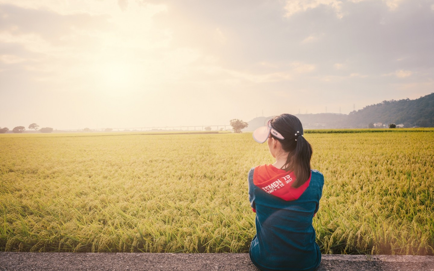 Back View Wallpapers - Wallpaper Cave