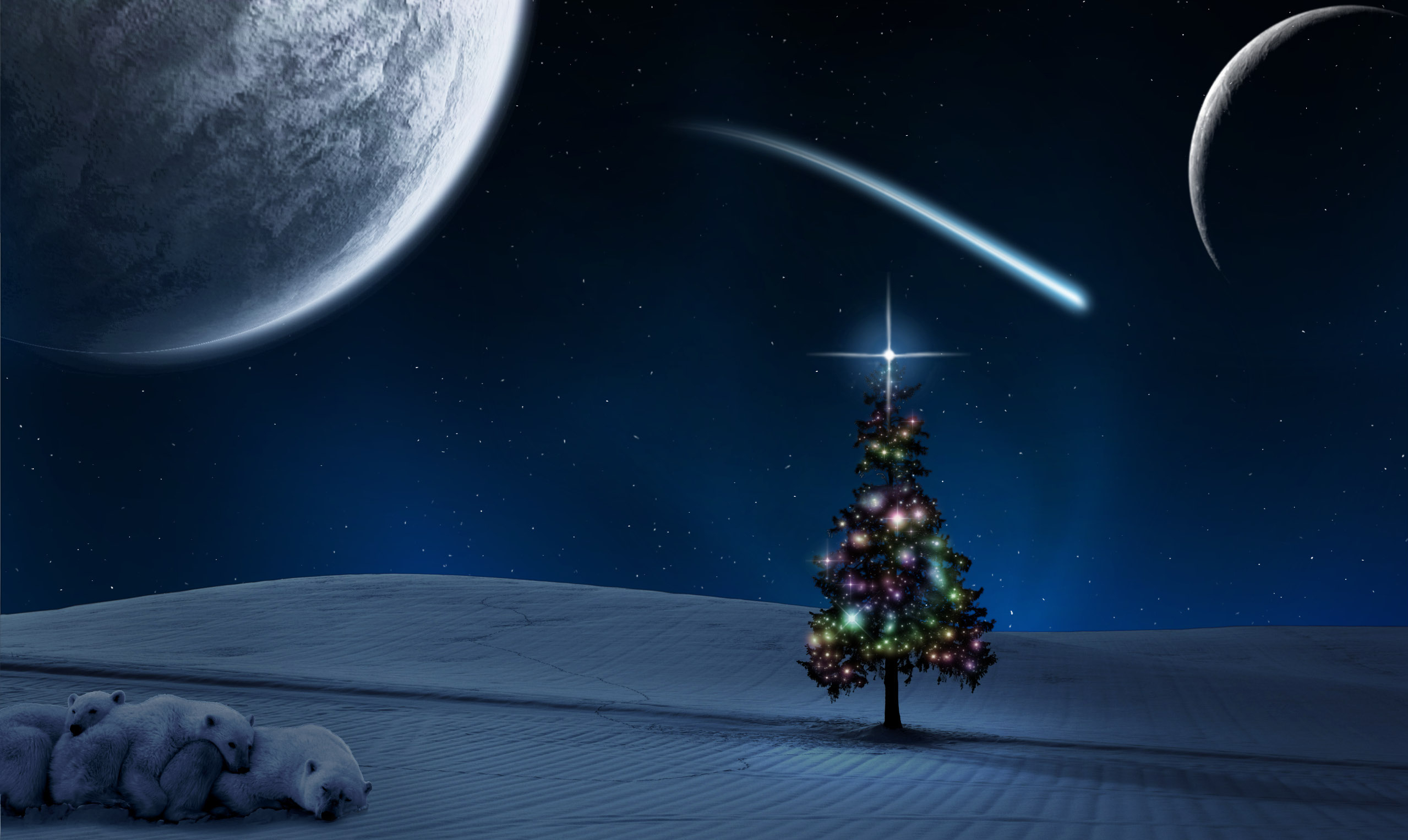 Lonely Christmas Tree Wallpapers - Wallpaper Cave