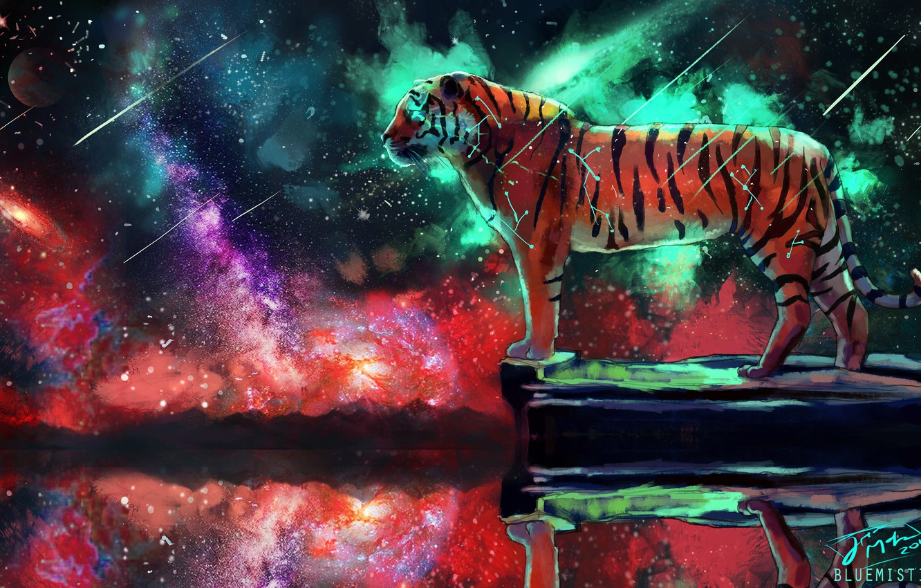 Space Tiger Wallpapers - Wallpaper Cave