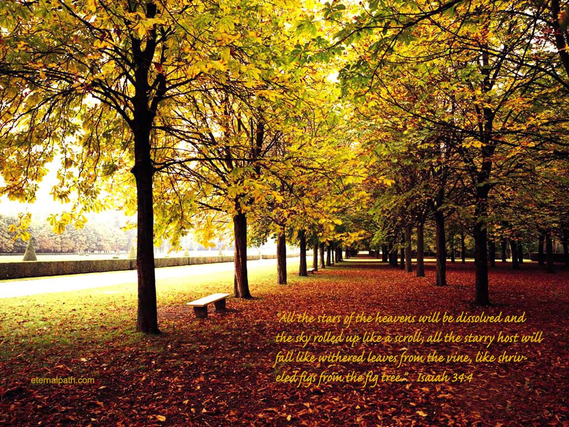 Autumn Motivation Wallpapers - Wallpaper Cave