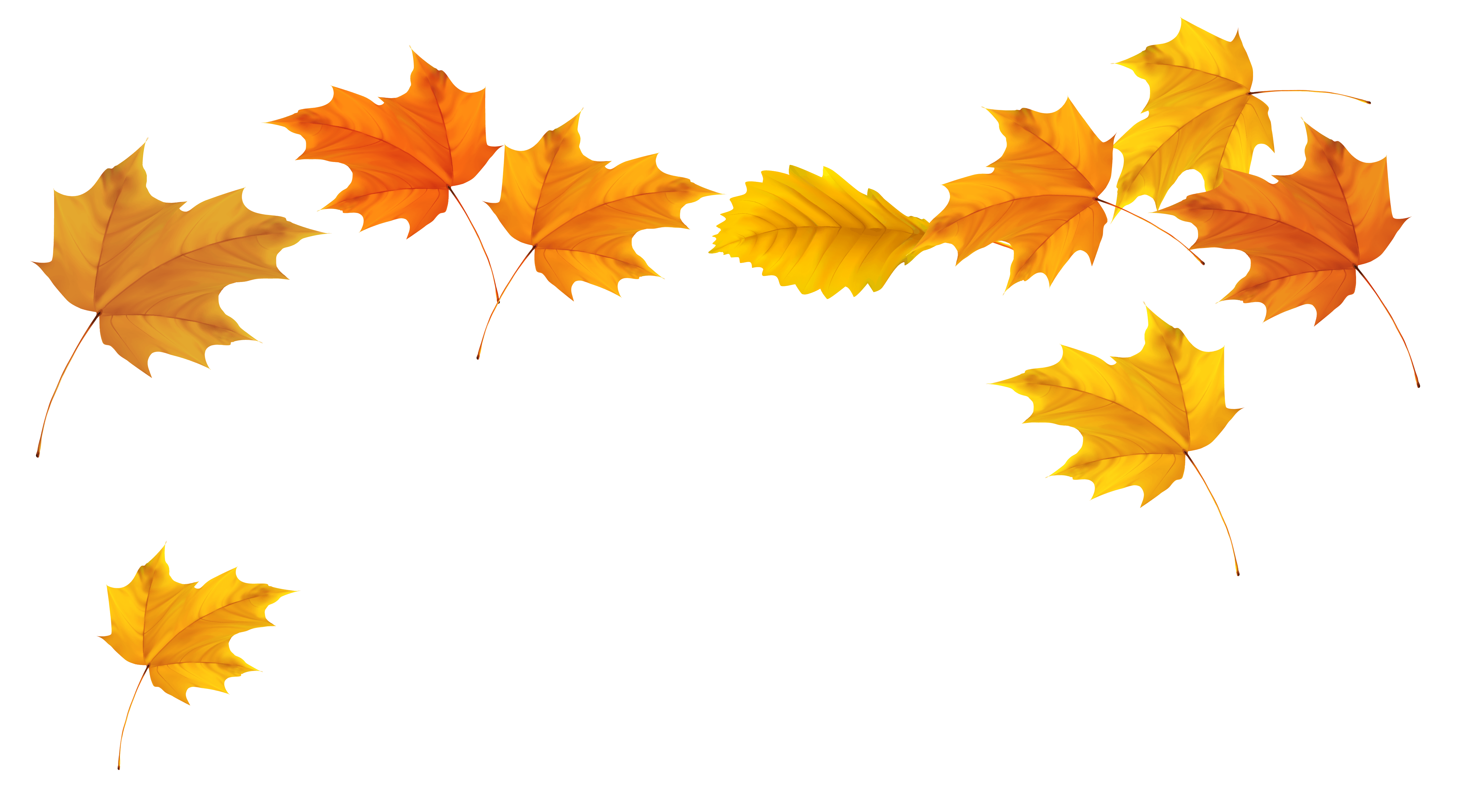Autumn Leaf Minimalist Wallpapers - Wallpaper Cave