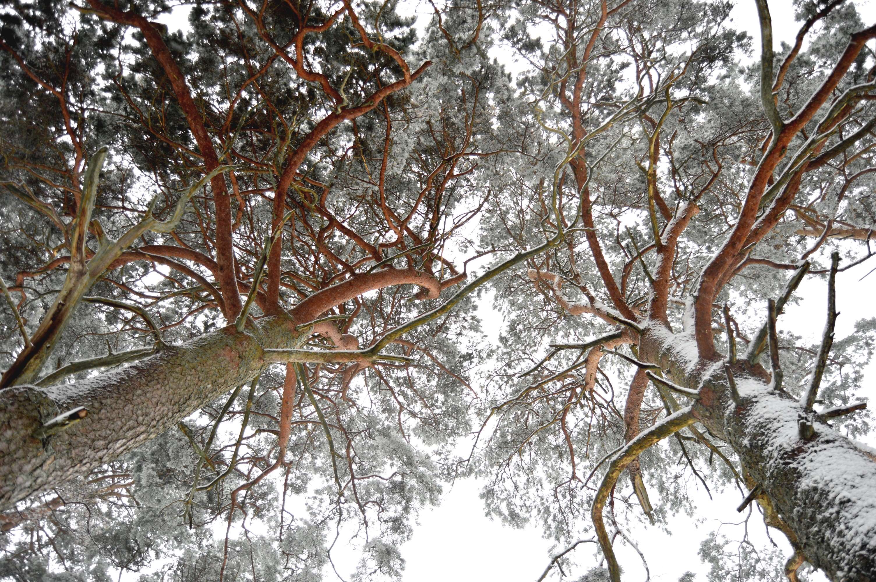 Winter Outside Wallpapers - Wallpaper Cave