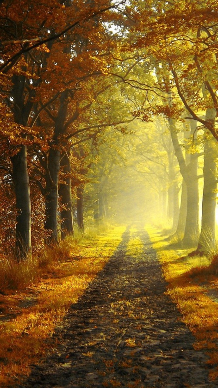 Vertical Thanksgiving Wallpapers - Wallpaper Cave