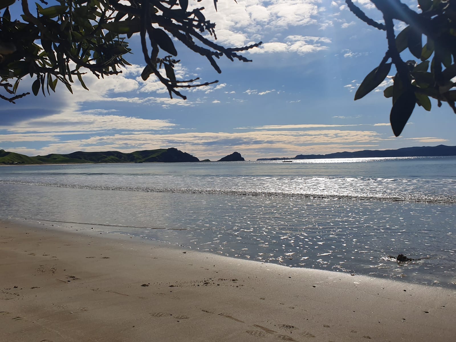 Opito Wallpapers - Wallpaper Cave