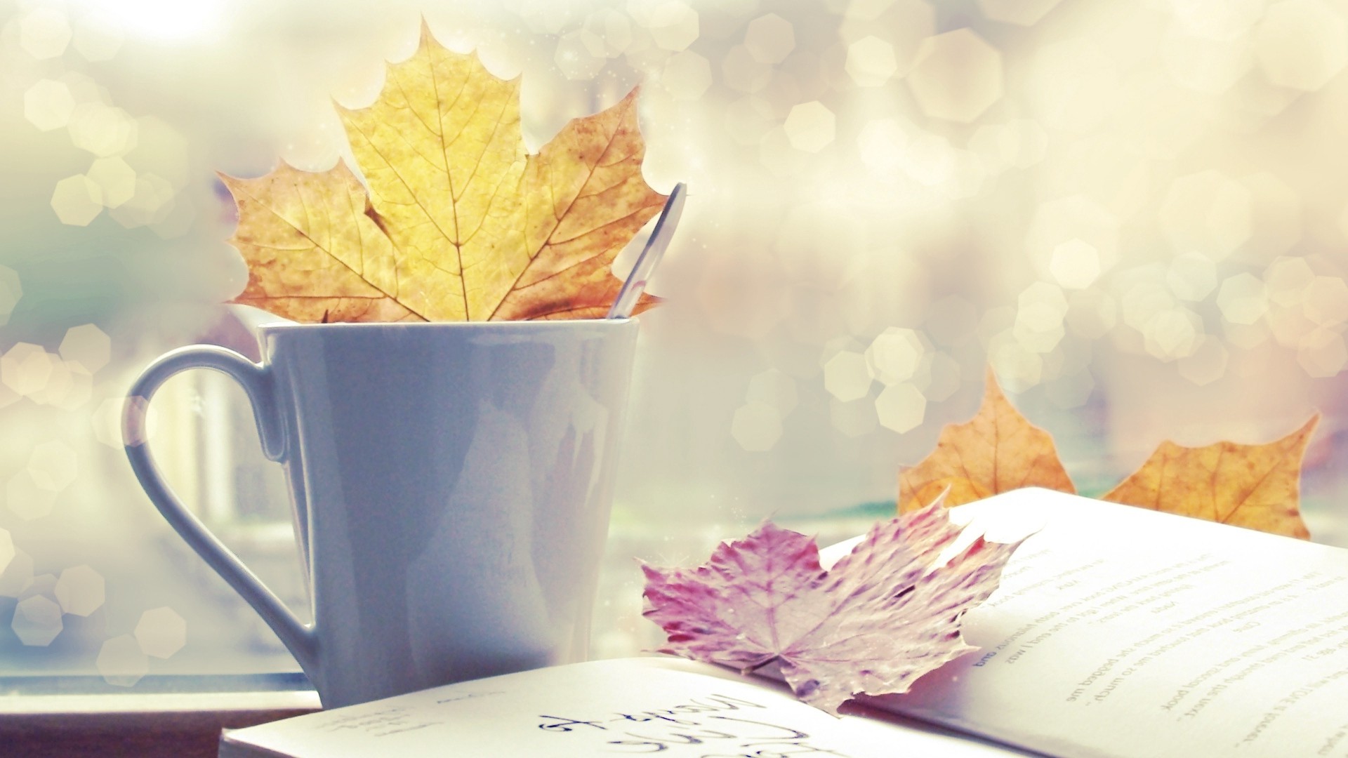 Books Autumn Wallpapers - Wallpaper Cave