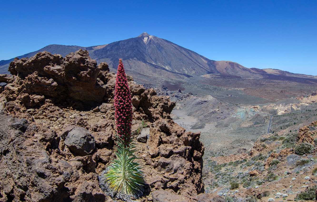 Teide Wallpapers - Wallpaper Cave