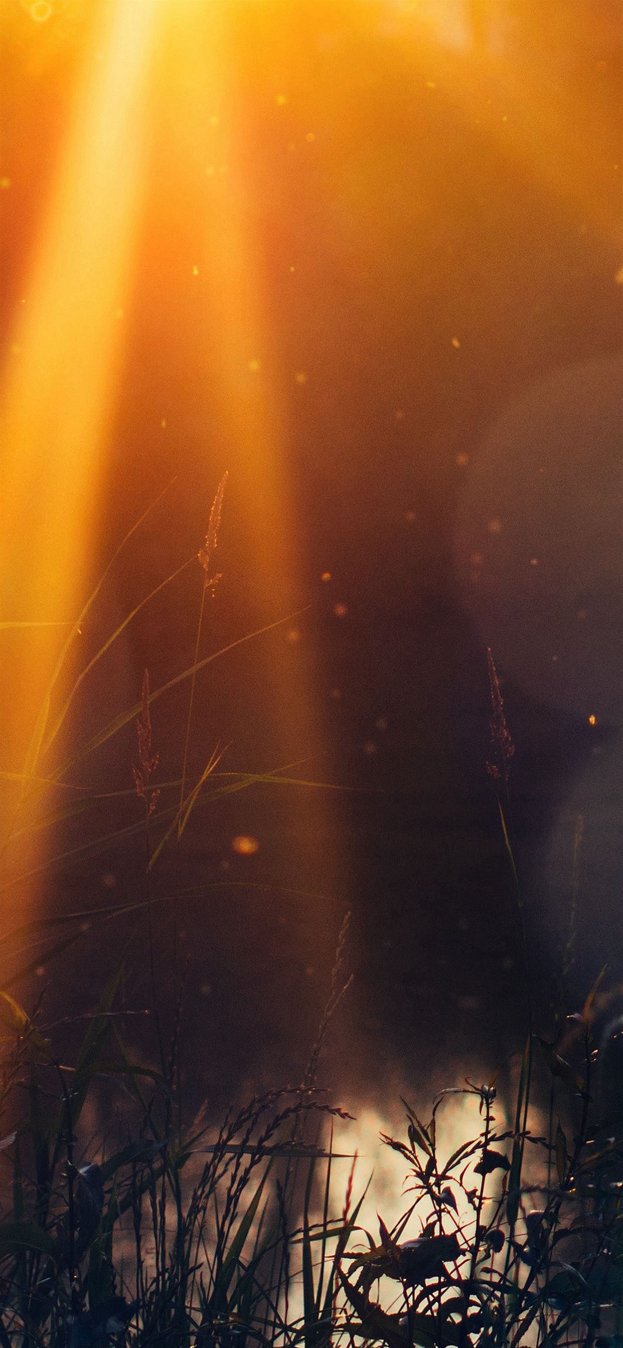 Light Flare Wallpapers - Wallpaper Cave