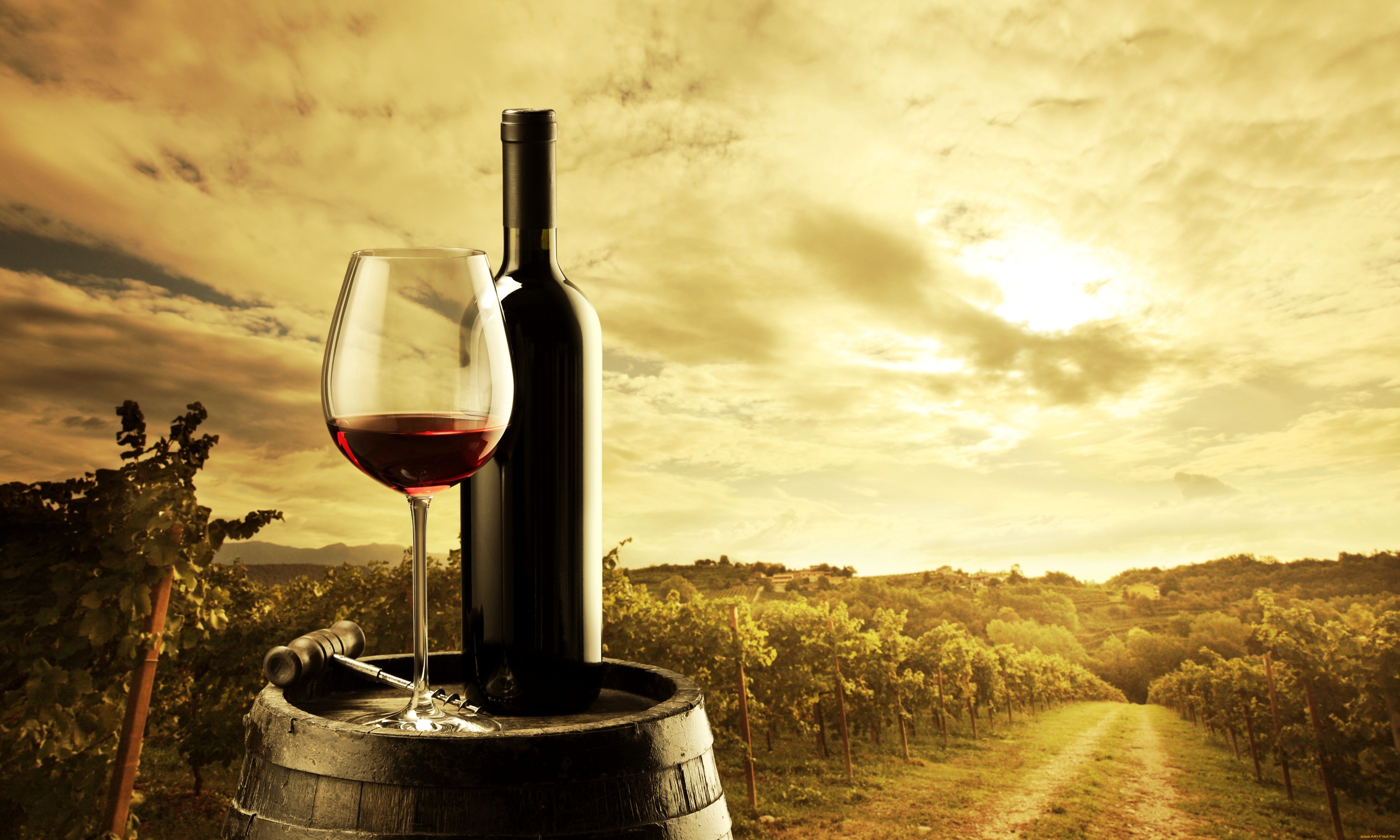 Drinking Wine Wallpapers - Wallpaper Cave