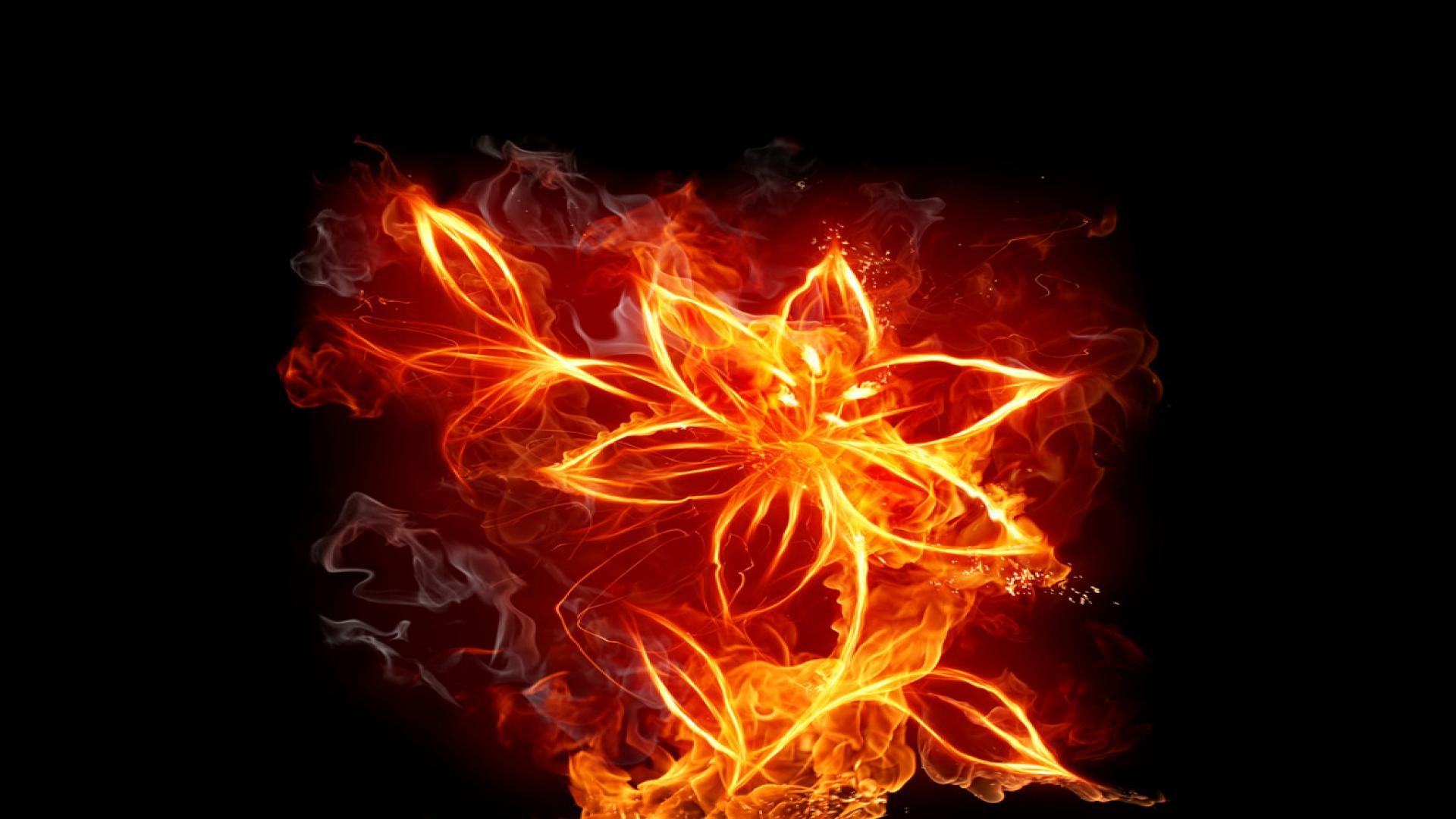 Flower On Fire Wallpapers - Wallpaper Cave