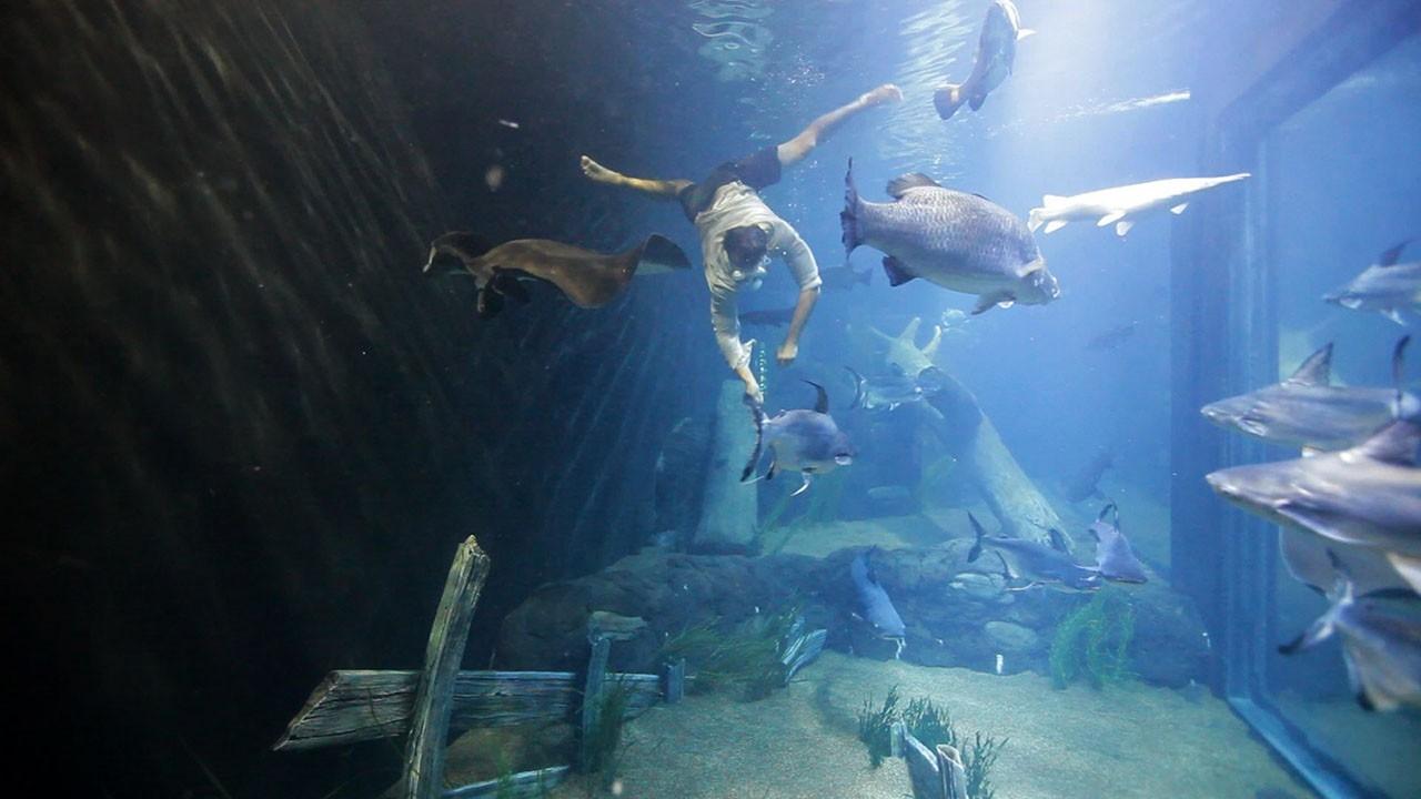 Monster Fish Wallpapers - Wallpaper Cave