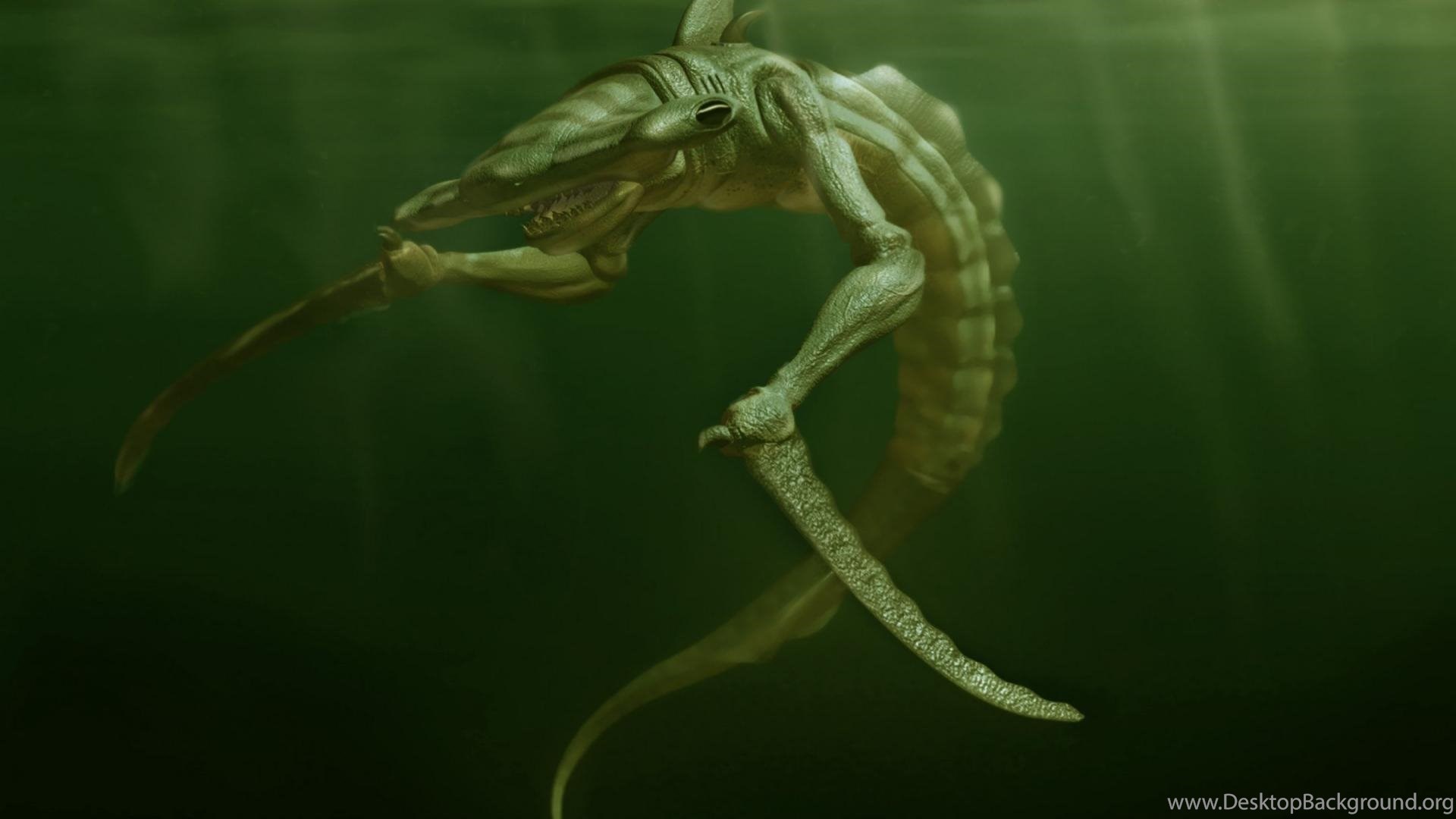 Monster Fish Wallpapers - Wallpaper Cave