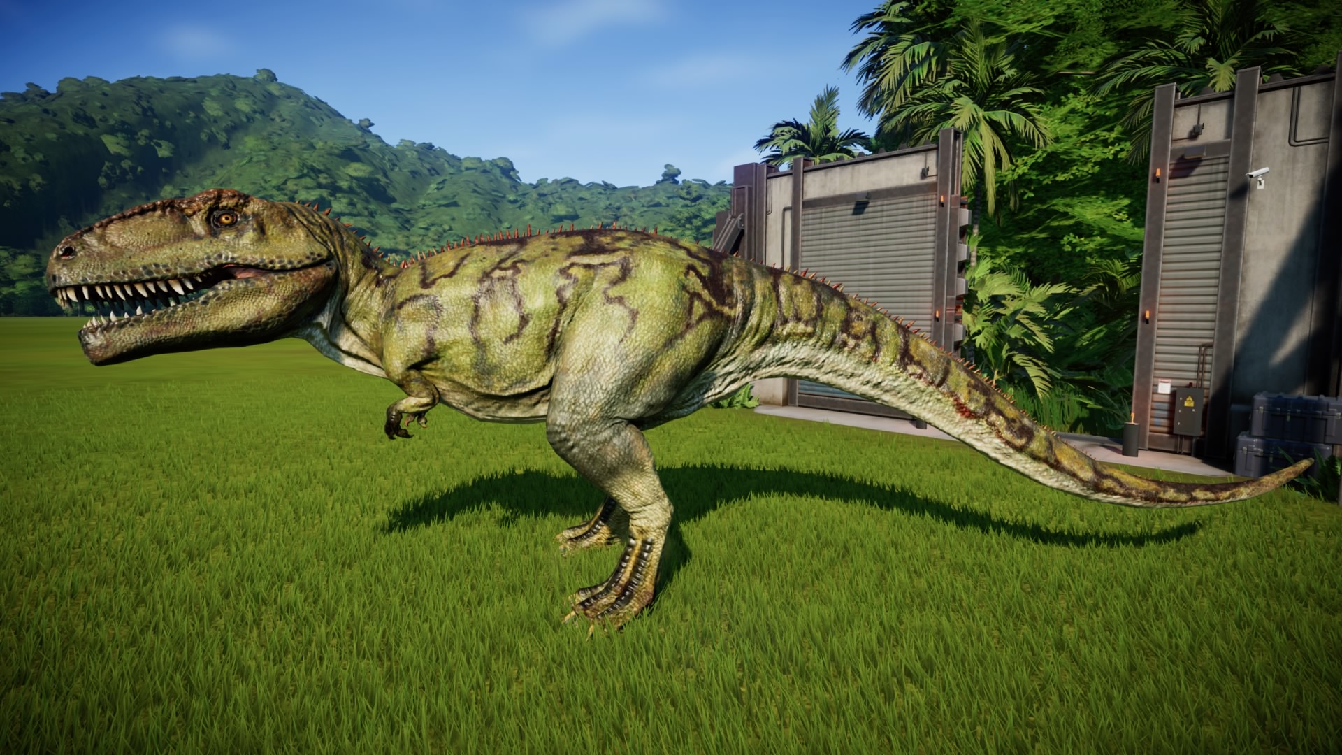 Rexy Wallpapers - Wallpaper Cave