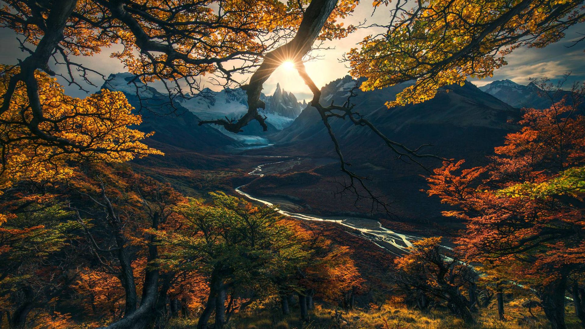 Autumn Forest Sunlight Horizontal Wallpapers - Wallpaper Cave