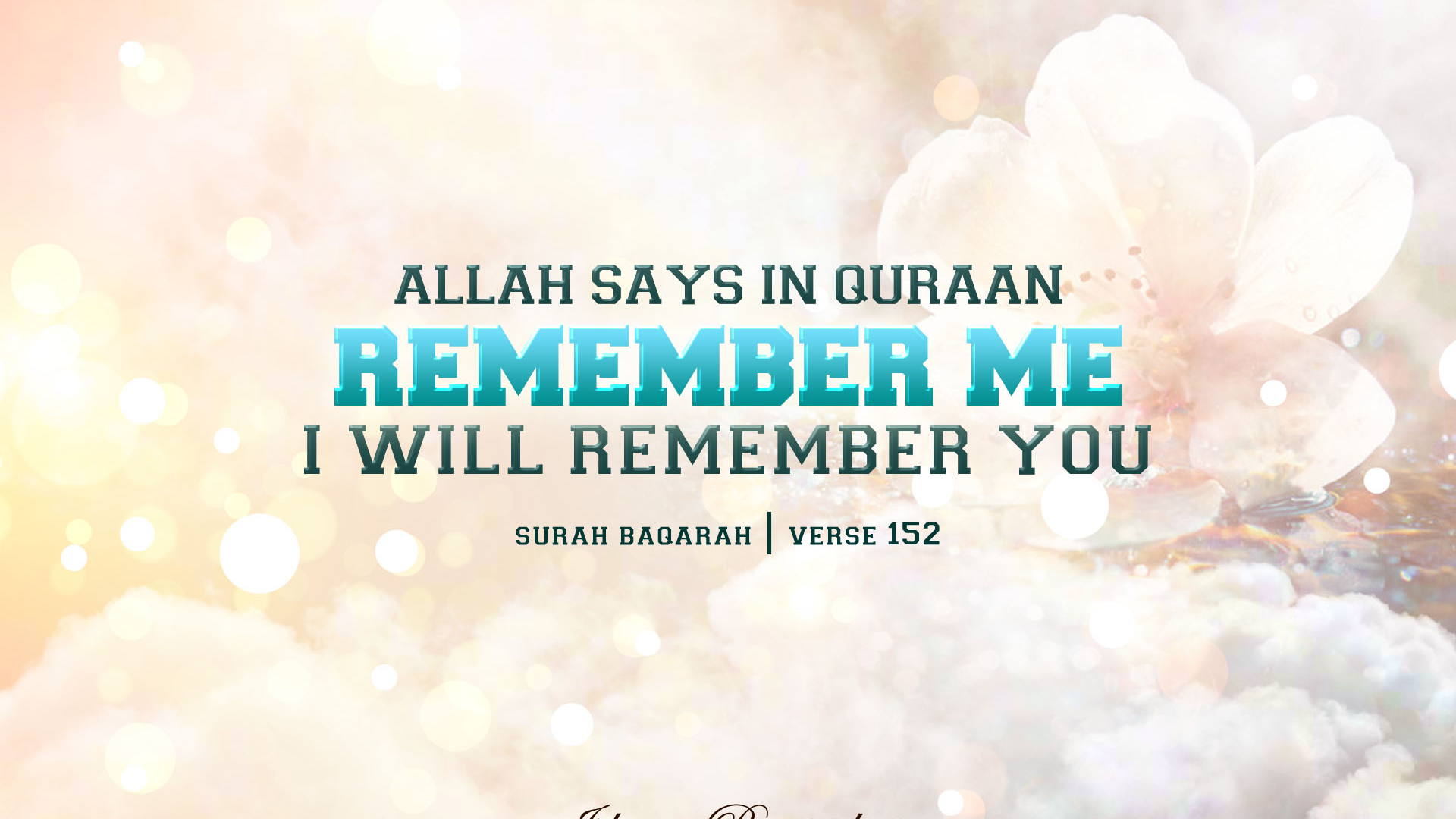 Sunnah Wallpapers - Wallpaper Cave