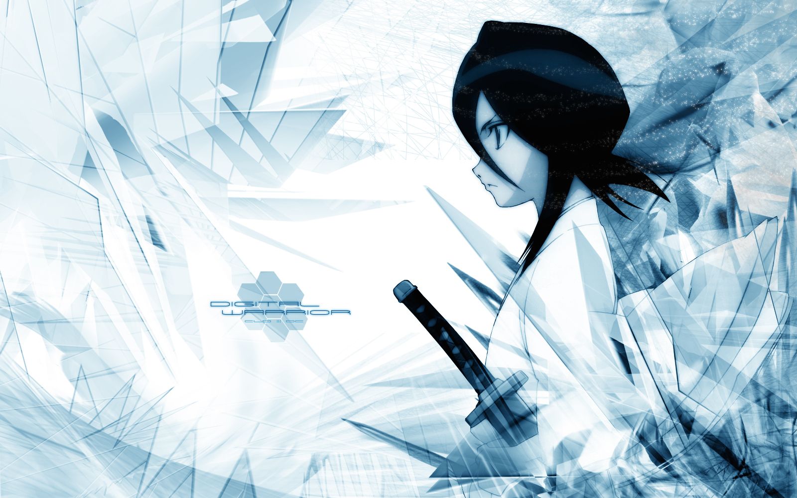 Bleach Rukia Wallpapers - Wallpaper Cave