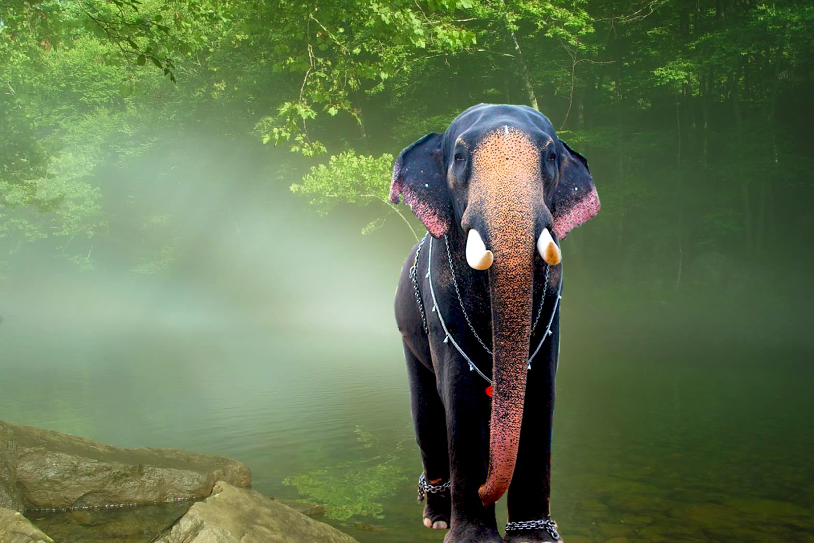 Chirakkal Kalidasan Wallpapers - Wallpaper Cave