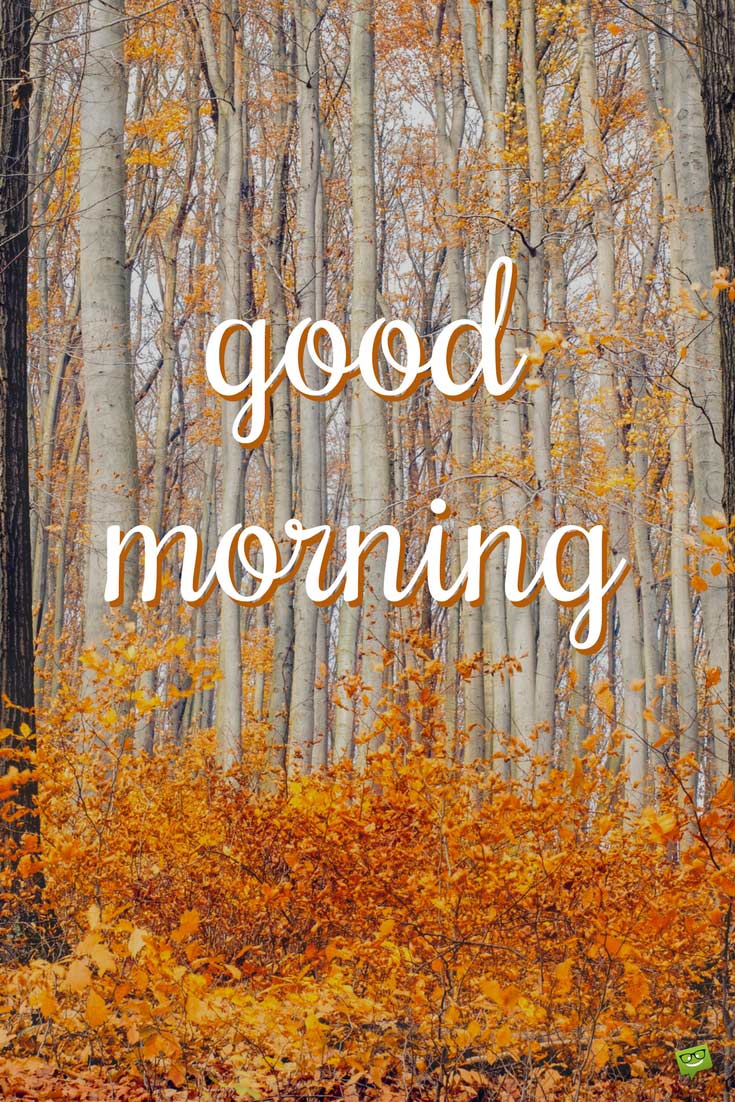 Winter Season Good Morning Wallpapers - Wallpaper Cave