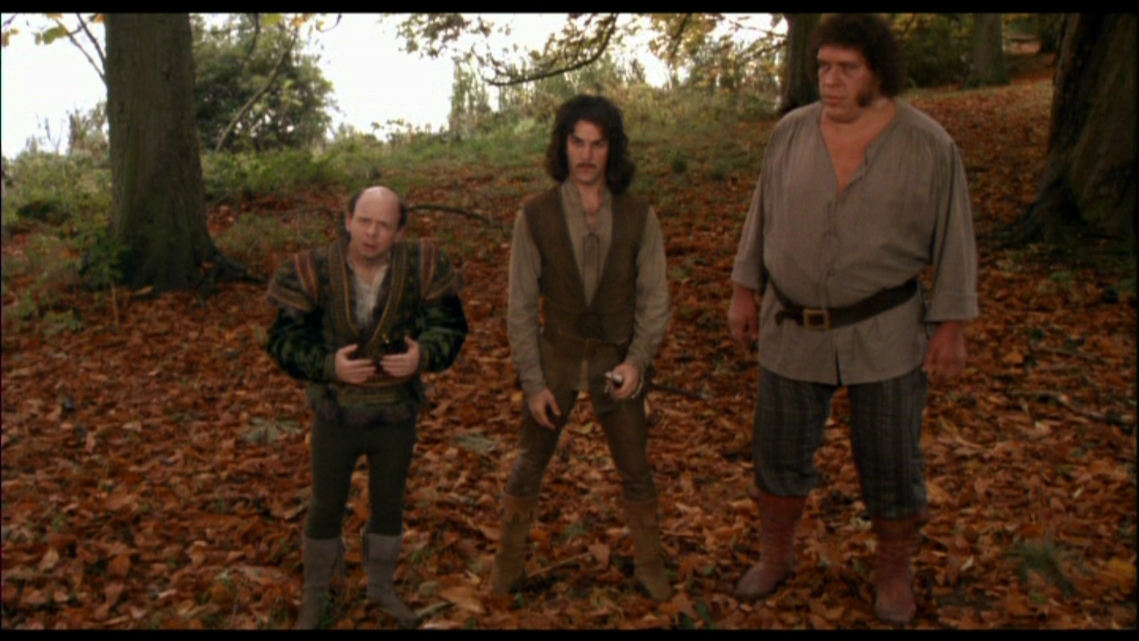 The Princess Bride Desktop Wallpapers - Wallpaper Cave