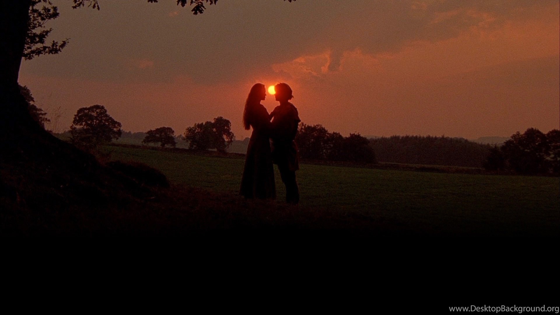 The Princess Bride Desktop Wallpapers - Wallpaper Cave