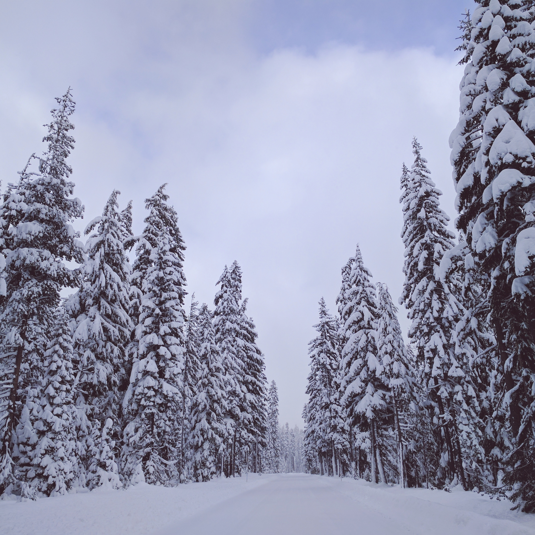 Daytime Winter Wallpapers - Wallpaper Cave