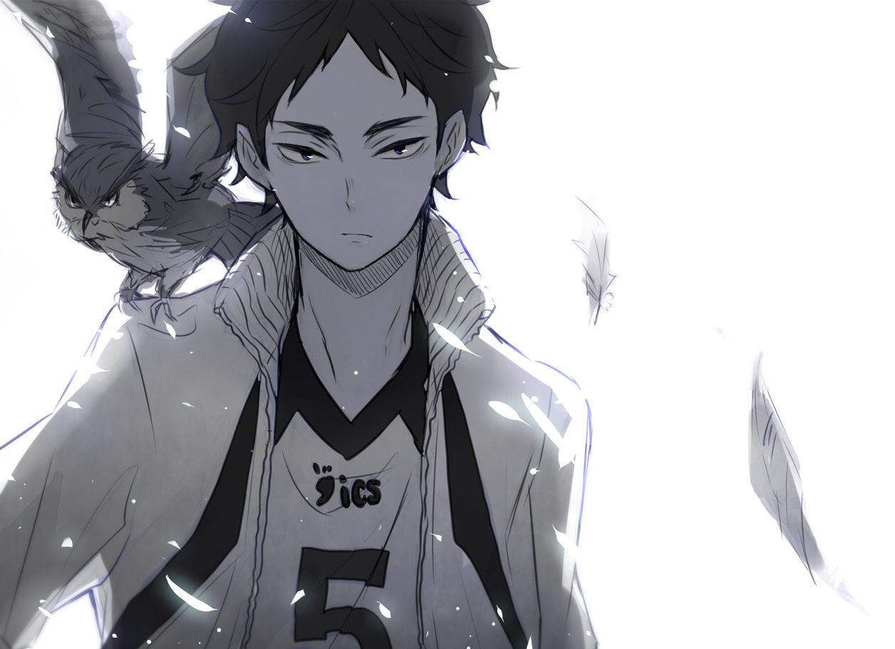 Akaashi Manga Wallpapers - Wallpaper Cave