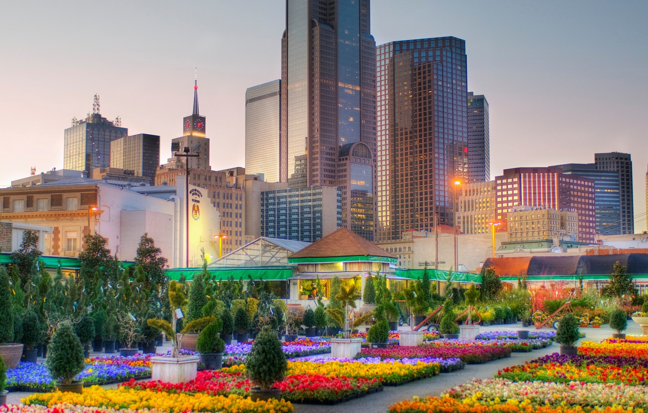 Dallas TX Wallpapers - Wallpaper Cave