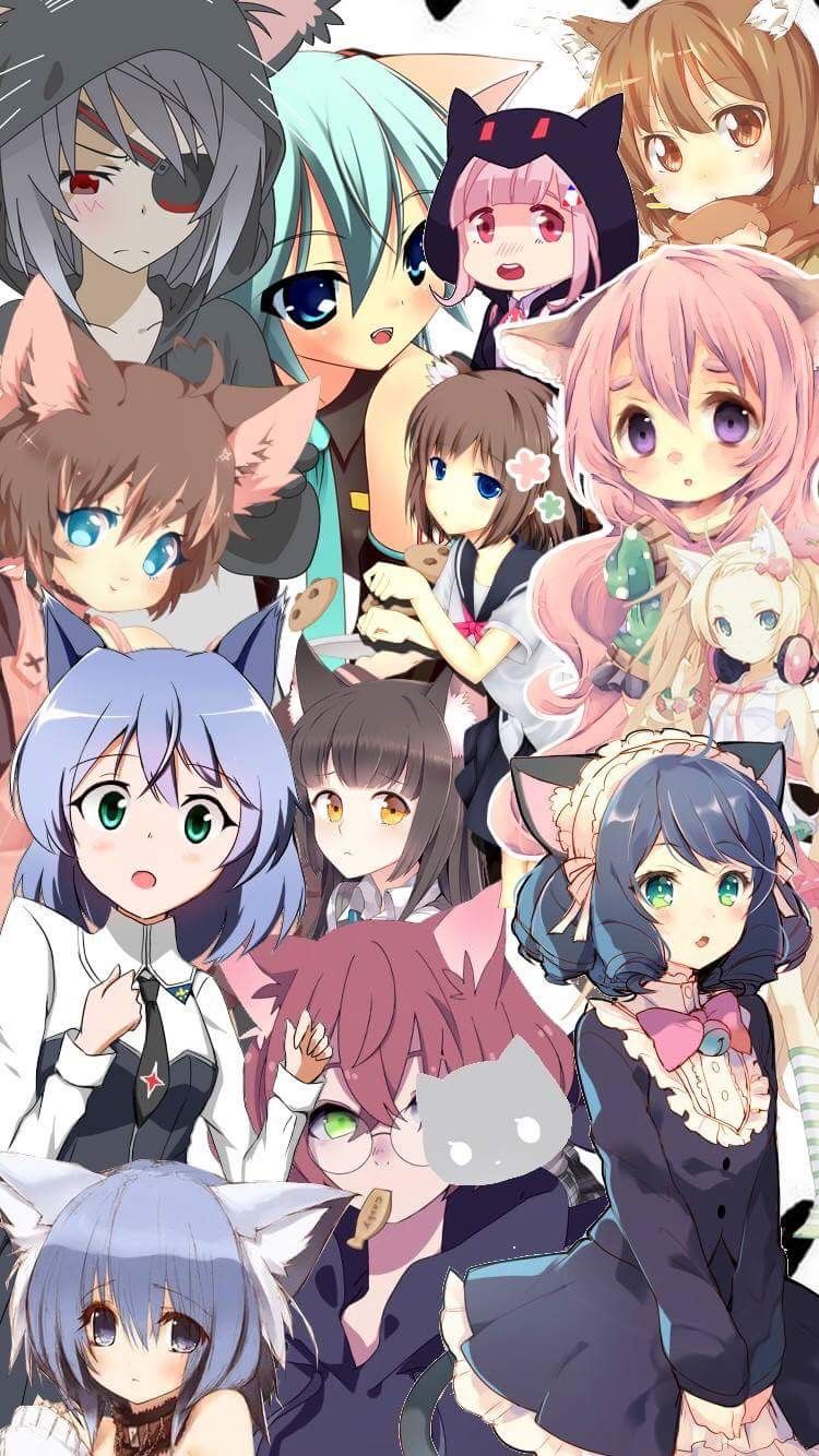 Neko Chan Wallpapers - Wallpaper Cave