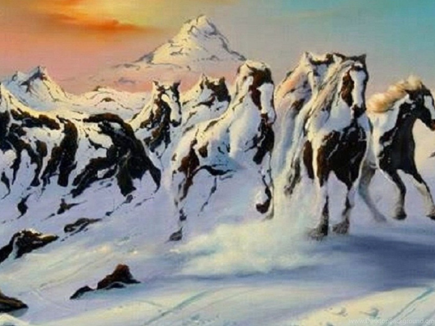 Pinto Horse Wallpapers - Wallpaper Cave